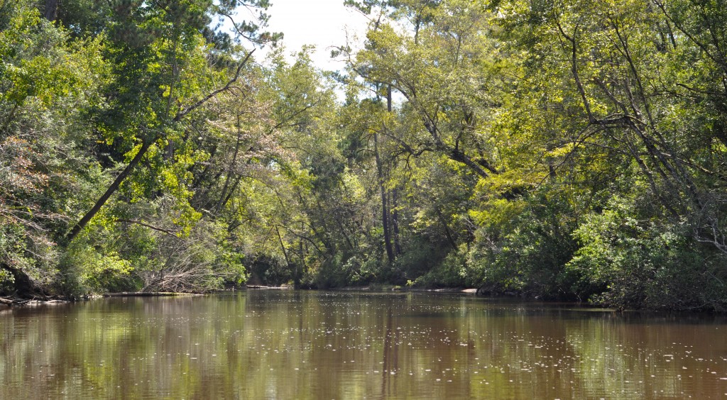 Down Yonder on a Foreign River – Married To Adventure